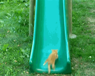 Failure GIFs - Get the best gif on GIFER