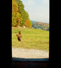 Waltz GIFs - Get the best gif on GIFER