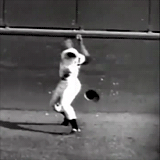 Fisk гифки, анимированные GIF изображения fisk - скачать гиф картинки ...