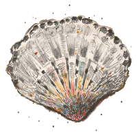 Shell GIFs - Get the best gif on GIFER