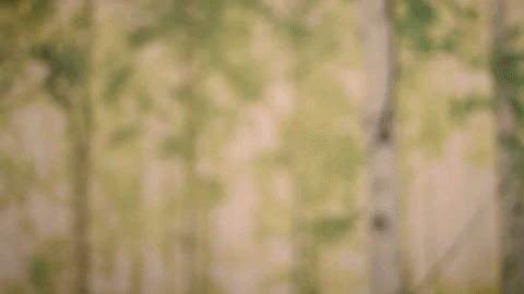 Participantmedia GIFs - Get the best gif on GIFER