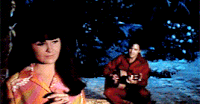 Clambakesongs GIFs - Get the best gif on GIFER