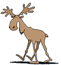 Moose GIFs - Get the best gif on GIFER