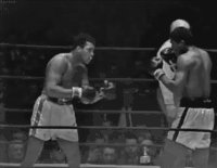 Muhammad GIFs - Get the best gif on GIFER