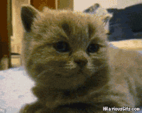 Makeover GIFs - Get the best gif on GIFER