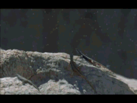 Segment GIFs - Get the best gif on GIFER