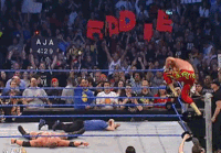 Battle GIFs - Get the best gif on GIFER