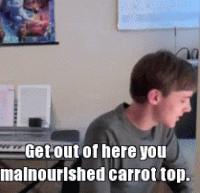 Pinto GIFs - Get the best gif on GIFER