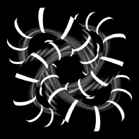 Reflexion GIFs - Get the best gif on GIFER