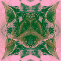 Symmetrical GIFs - Get the best gif on GIFER