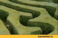 Maze GIFs - Get the best gif on GIFER