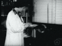 Humanities GIFs - Get the best gif on GIFER