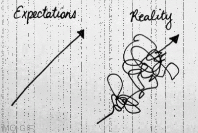 Expectations vs reality GIF - Conseguir o melhor gif em GIFER