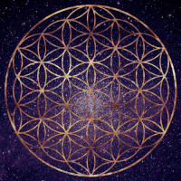 Pathway GIFs - Get the best gif on GIFER