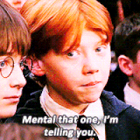 Ron GIFs - Get the best gif on GIFER