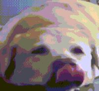 Goofy GIFs - Get the best gif on GIFER
