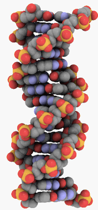 Dna GIF - Conseguir o melhor gif em GIFER