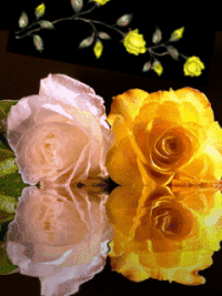Pale GIFs - Get the best gif on GIFER