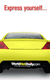 Express yourself GIFs - Get the best gif on GIFER