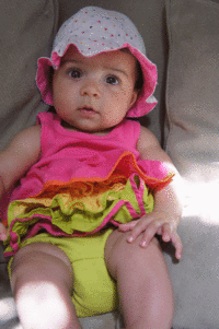 Flickr GIFs - Get the best gif on GIFER