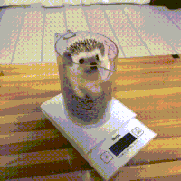 Sorcerers GIFs - Get the best gif on GIFER