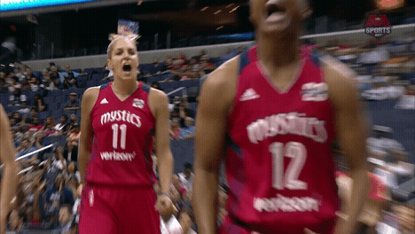 Wnba GIF - Conseguir o melhor gif em GIFER