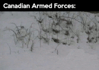 Canada GIFs - Get the best gif on GIFER