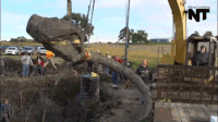 Fossil GIFs - Get the best gif on GIFER