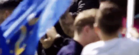 Fuchs GIFs - Get the best gif on GIFER