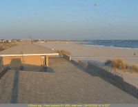 Wobble GIFs - Get the best gif on GIFER