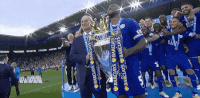 Ranieri GIFs - Get the best gif on GIFER
