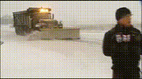 Reporter GIFs - Get the best gif on GIFER