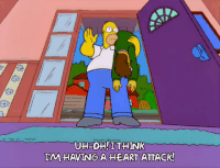 Flanders GIFs - Get the best gif on GIFER