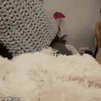 Magie GIFs - Get the best gif on GIFER