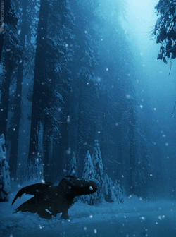 Httyd2 GIFs - Get the best gif on GIFER