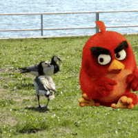 Irritated GIFs - Get the best gif on GIFER