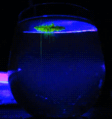 Fluorescence GIFs - Get the best gif on GIFER