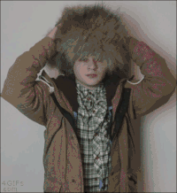 Furs GIFs - Get the best gif on GIFER