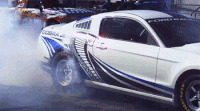 Mustang GIFs - Get the best gif on GIFER