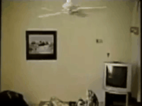 Oof GIFs - Get the best gif on GIFER