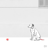 Bounce break GIFs - Get the best gif on GIFER