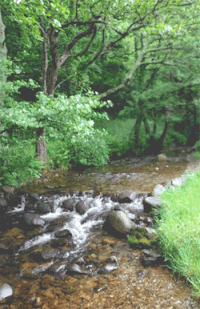 Landscape GIFs - Get the best gif on GIFER