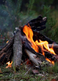 Campfire GIFs - Get the best gif on GIFER