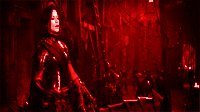 Nightingale GIFs - Get the best gif on GIFER
