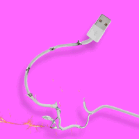 Chargers GIFs - Get the best gif on GIFER