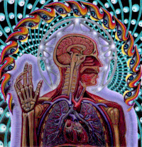 Psychodelic GIFs - Get the best gif on GIFER