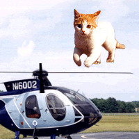 Helicopter GIFs - Get the best gif on GIFER