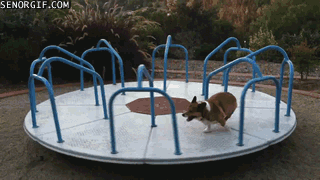 Merry go rounds GIF - Conseguir el mejor gif en GIFER