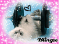 Pesos GIFs - Get the best gif on GIFER