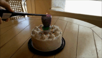 Bolo GIFs - Get the best gif on GIFER